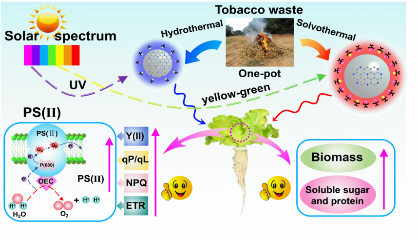 最新科研进展 - 中国农业科学院中原研究中心